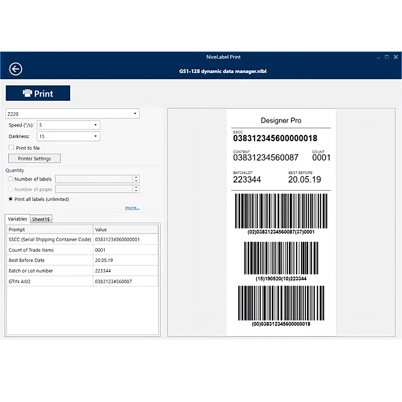Traçamatrix - NICELABEL Designer Express